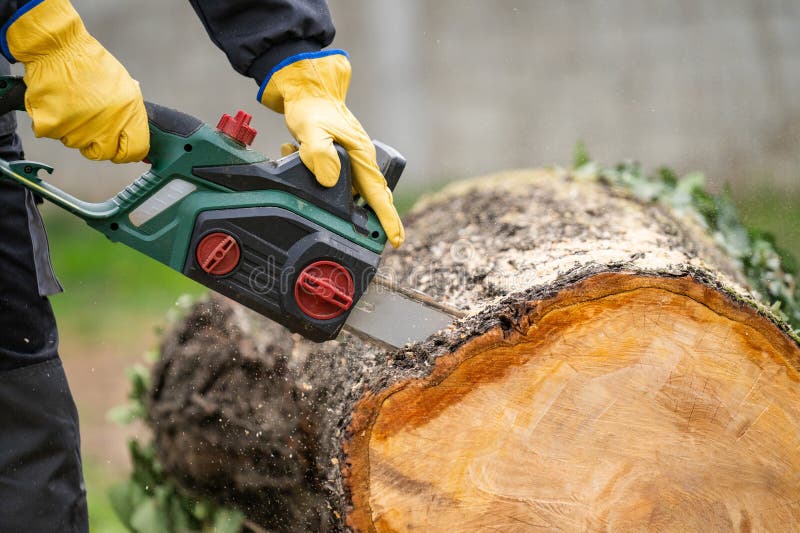 A Man in Uniform Cuts an Old Tree in the Yard with an Electric Saw ...
