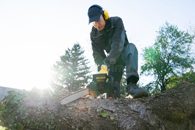 A Man in Uniform Cuts an Old Tree in the Yard with an Electric Saw ...