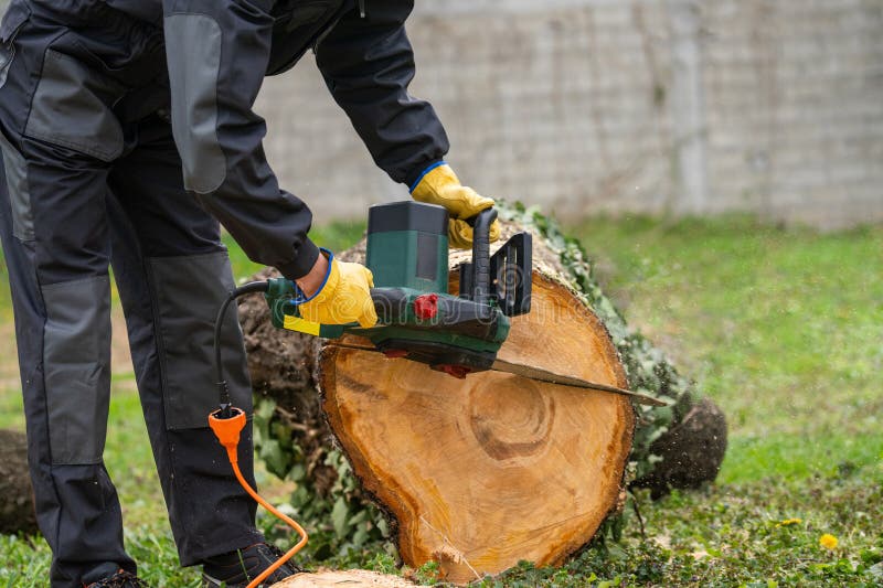 Electric Saw on an Old Tree in the Yard. Stock Photo - Image of ...