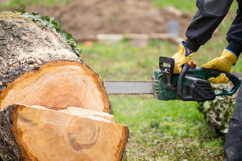 A Man in Uniform Cuts an Old Tree in the Yard with an Electric Saw ...