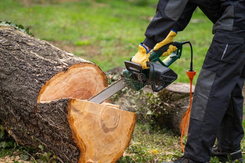 A Man in Uniform Cuts an Old Tree in the Yard with an Electric Saw ...