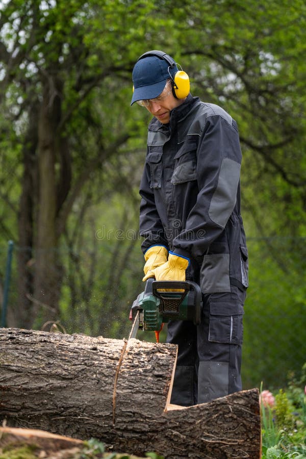 Electric Saw on an Old Tree in the Yard. Stock Photo - Image of ...