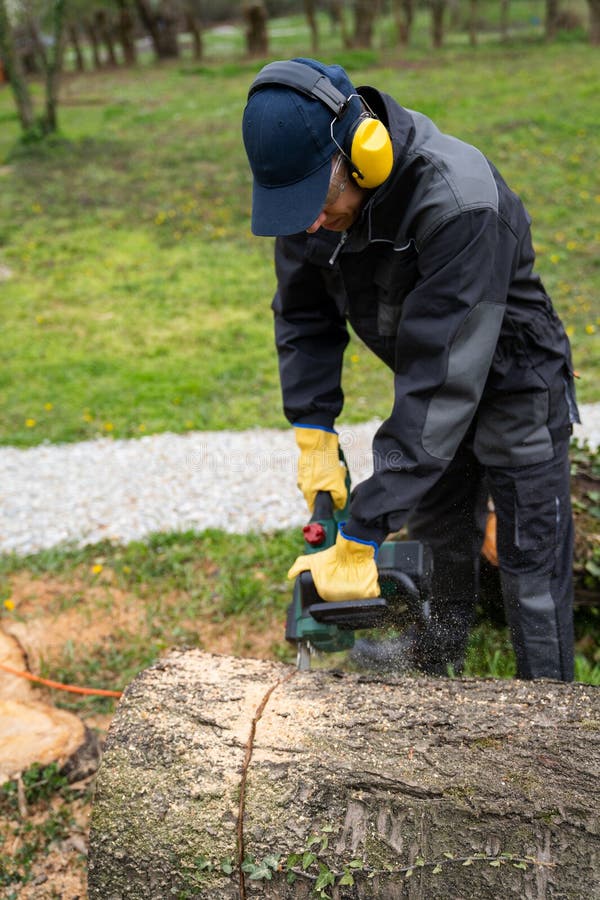 A Man in Uniform Cuts an Old Tree in the Yard with an Electric Saw ...