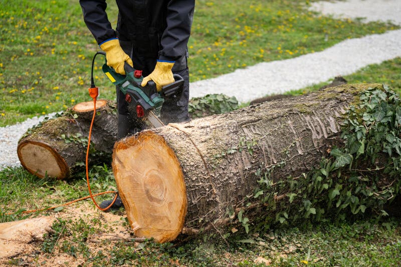 A Man in Uniform Cuts an Old Tree in the Yard with an Electric Saw ...