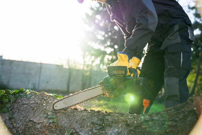 A Man in Uniform Cuts an Old Tree in the Yard with an Electric Saw ...