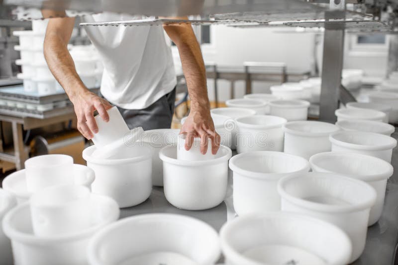 Worker at the Cheese Manufacturing Stock Photo - Image of dairy, milk ...
