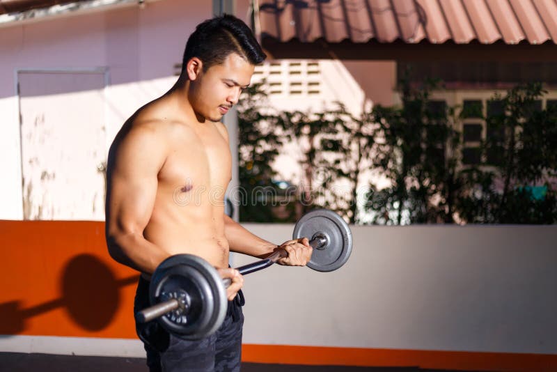 Man Using Barbell for Exercise Stock Image - Image of power, fitness ...