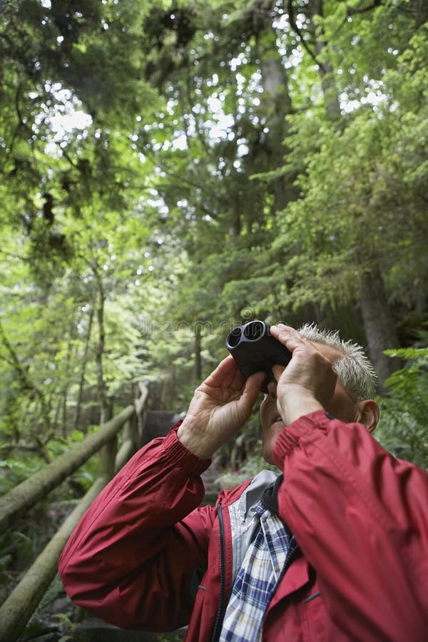 Man Using Binoculars in Forest Stock Photo - Image of leisure, looking ...