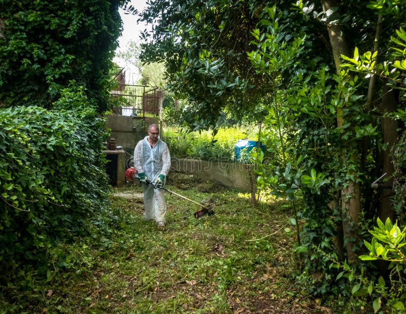 Cutter in the yard stock image. Image of motor, grass - 227821133