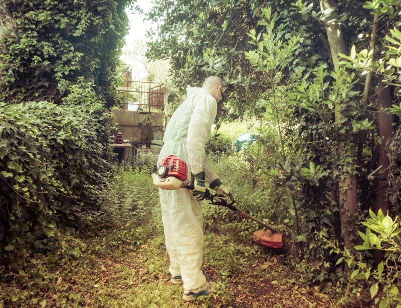 Man using brush cutter stock image. Image of growth - 150155509