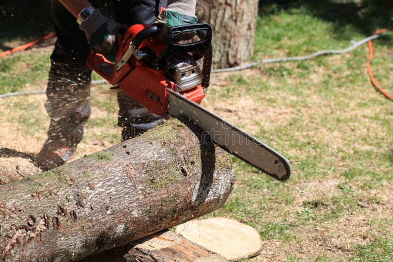 Man Using a Chainsaw To Cut a Tree Trunk Stock Image - Image of ...
