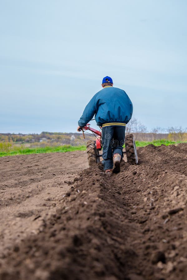 Man Using a Cultivator in a Field on a Farm, before Planting Potatoes ...