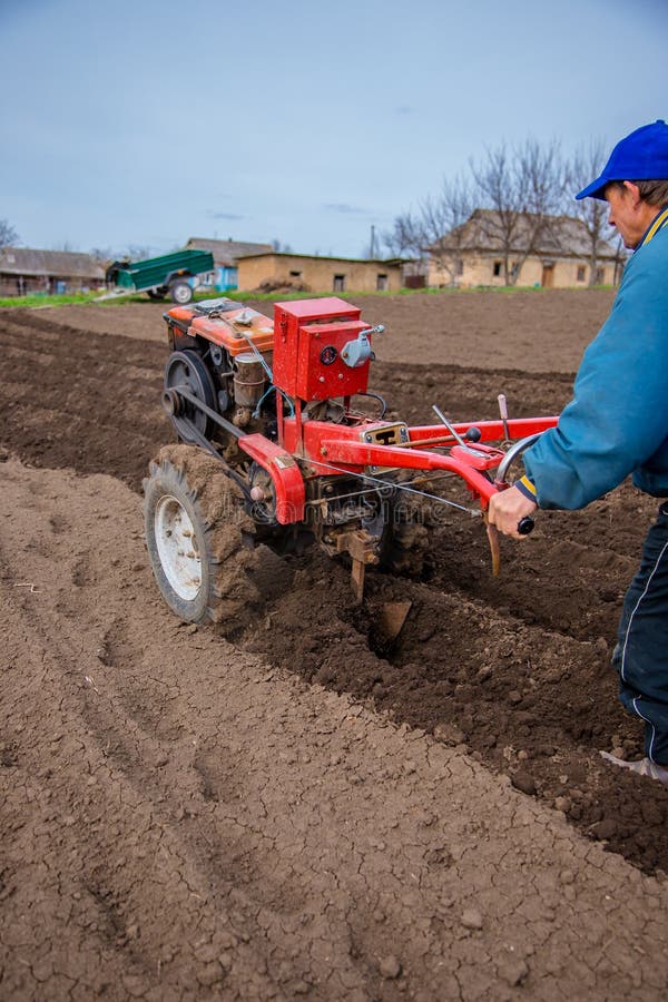 Man Using a Cultivator in a Field on a Farm, before Planting Potatoes ...