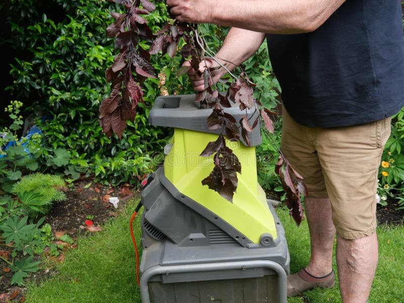 Man Using Electric Shredder in Garden Stock Image - Image of garden ...