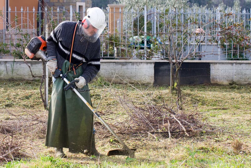 Man Using Hedge Trimmer stock image. Image of apron, cleanup - 30980671