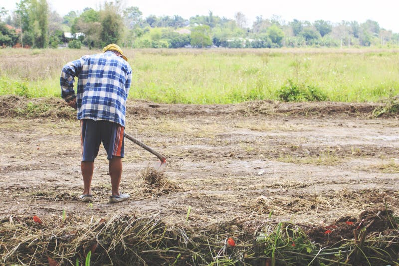 Man with Hoe 2 stock photo. Image of weed, agriculture - 10188180