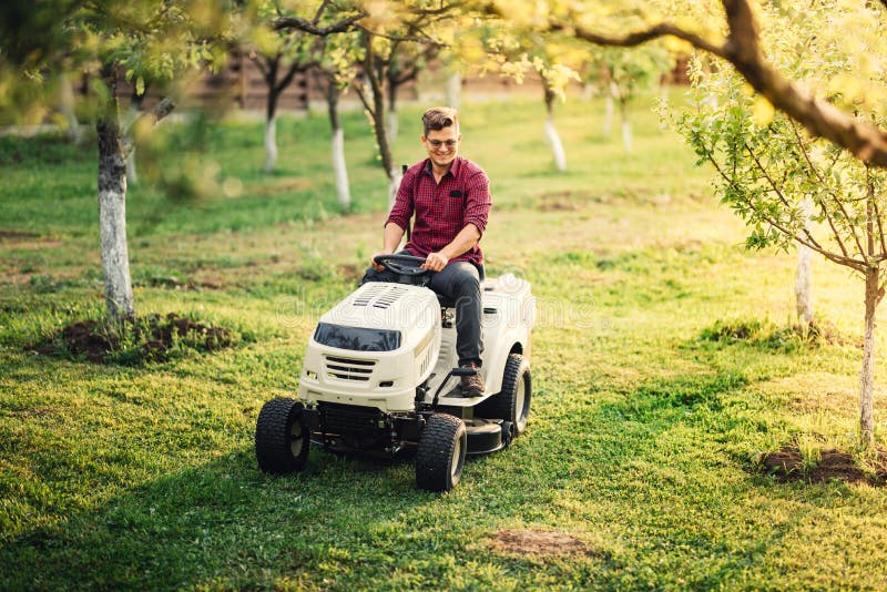 Man Using Lawn Mower and Cutting Grass during Landscaping Works Stock ...