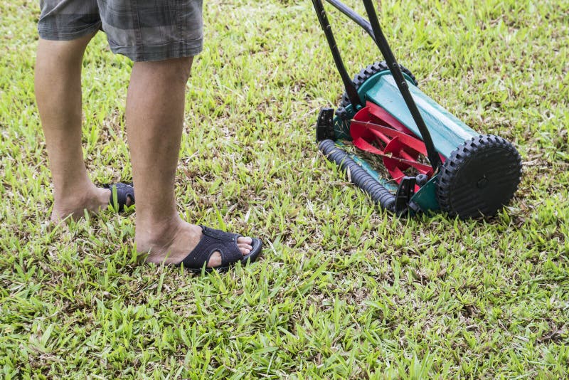 Man using lawn mower stock photo. Image of cutting, outside - 42437330