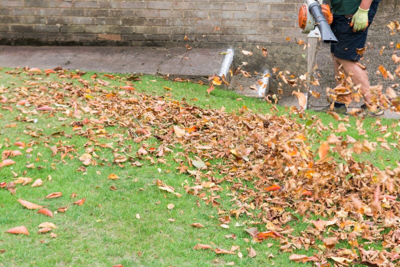 Clearing Leaves from the Garden Stock Image - Image of gardener, lawn ...