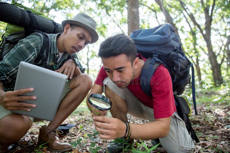 Man Using Magnifying Glass in the Forest Stock Image - Image of ...
