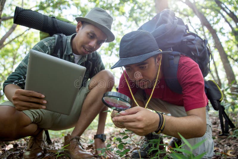 Man Using Magnifying Glass in the Forest Stock Image - Image of hiking ...