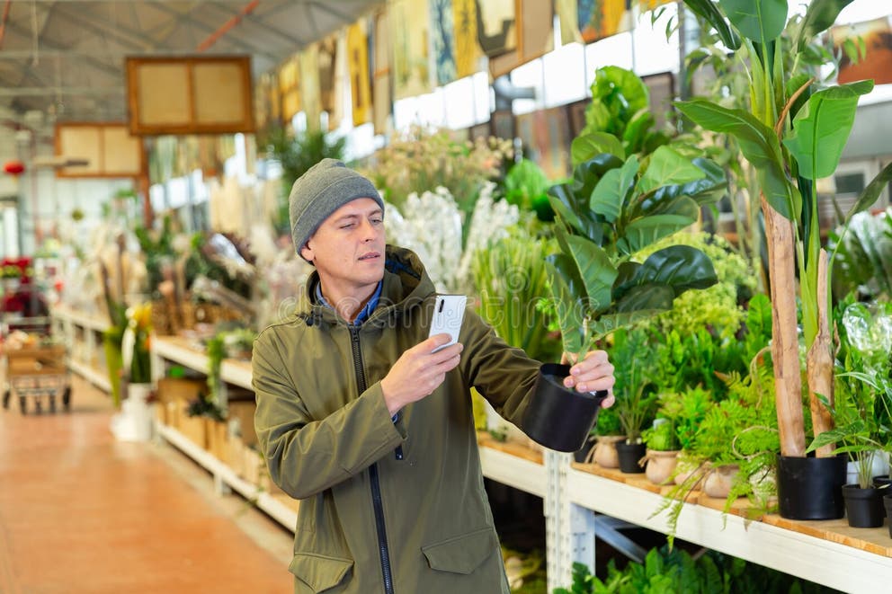 Man Using Smartphone Scans Barcode on Flower Pot Stock Photo - Image of ...
