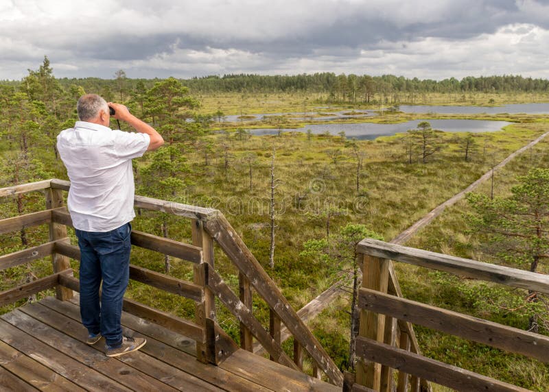 Man Viewing Binoculars from the Lookout Tower, Swamp Background, Summer ...
