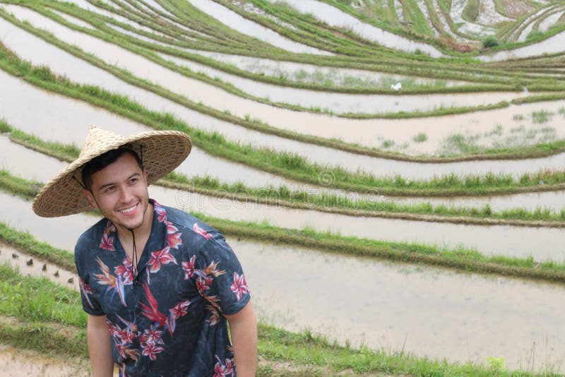 Man Visiting Traditional Asian Rice Fields Stock Photo - Image of ...