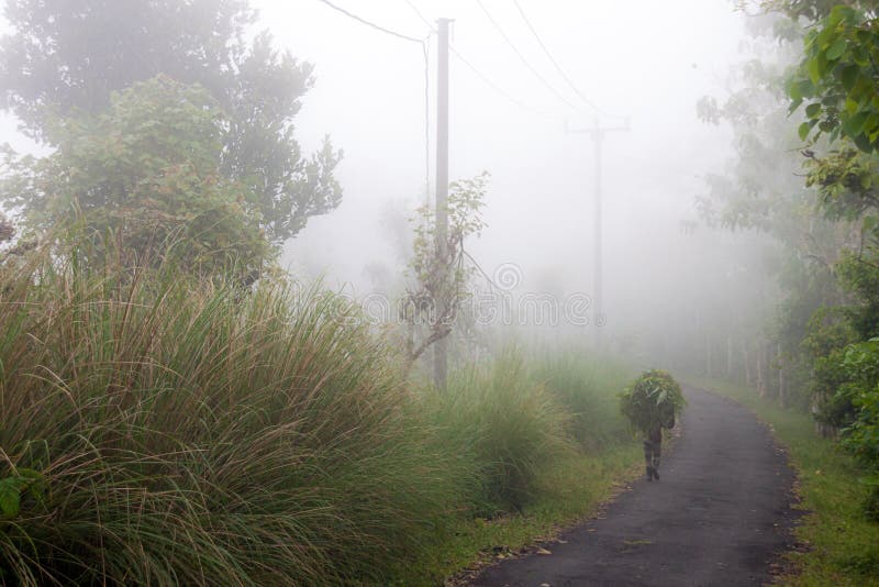 A Man Walk Ahead into the Fog Stock Image - Image of aimless, concept ...