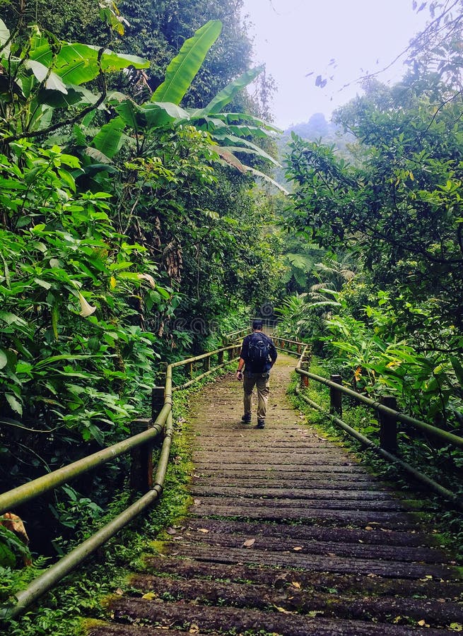 The Green and Shady Trees Around the Old Bridge. Nov 6, 2022 Editorial ...