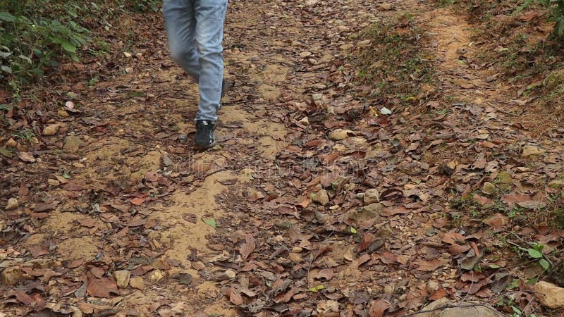 Man Walking Alone In The Forest Alone Stock Footage Video Of Water Walk 264268410
