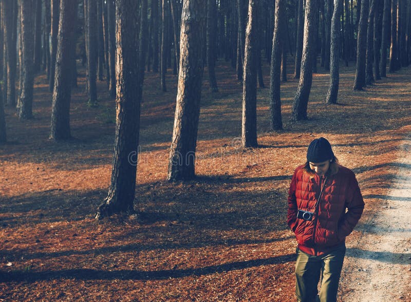 Alone in the Forest stock photo. Image of snowy, cold - 1737624