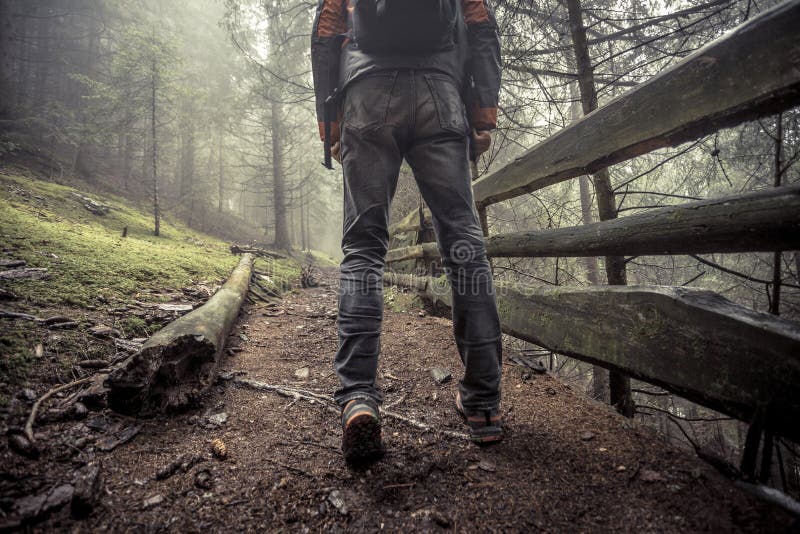 A Man Walking Alone Inside a Forest in a Foggy Day Stock Photo - Image ...