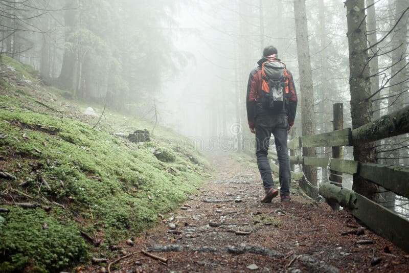 A Man Walking Alone Inside a Forest in a Foggy Day Stock Image - Image ...