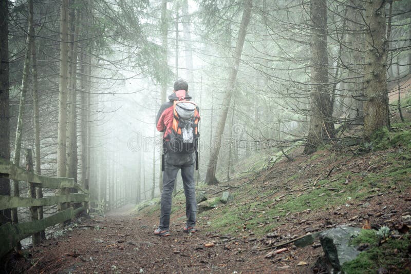 A Man Walking Alone Inside a Forest in a Foggy Day Stock Image - Image ...