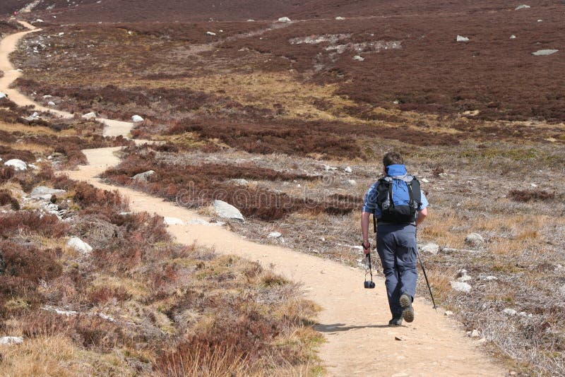 Man Walking Along Path Royalty Free Stock Images - Image: 2249039