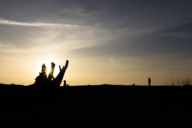 Man at the Sea in Backlight Stock Photo - Image of freedom, male: 201833236