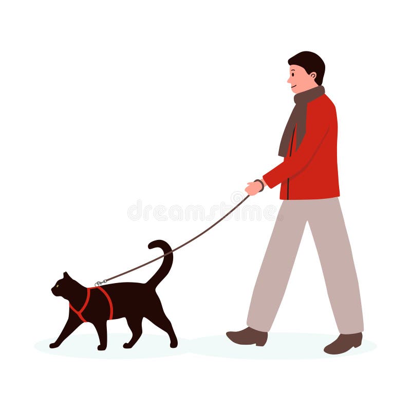 Man Walking a Cat on a Leash, Vector Illustration in Flat Style Stock ...