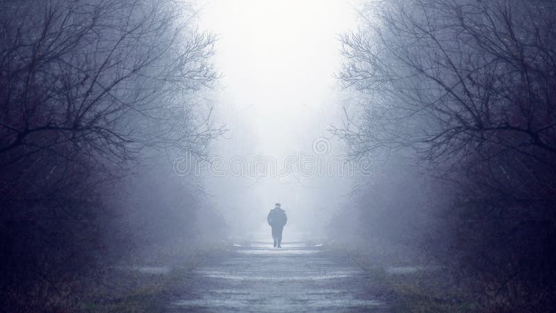Man Walking through Dark Forest. Soft Focus Stock Photo - Image of ...