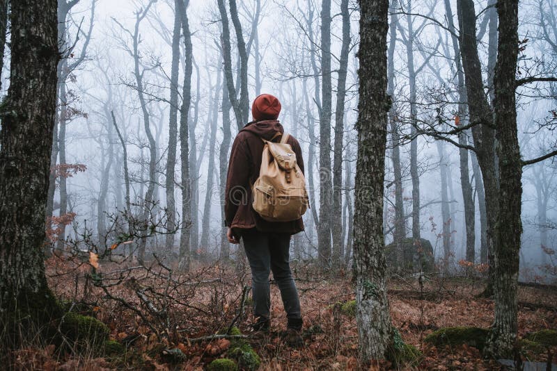 Man Walking on a Dark Path through a Spooky Forest Stock Photo - Image ...