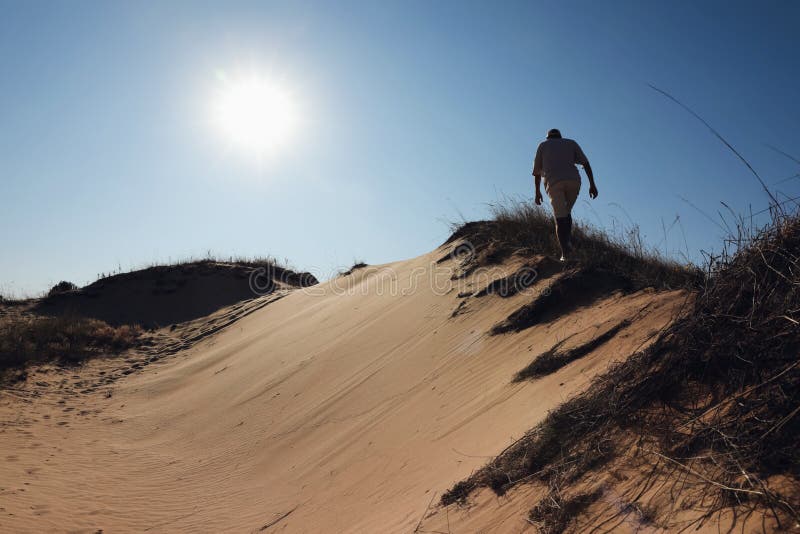 Man Walking through Desert on Sunny Day, Back View Stock Photo - Image ...