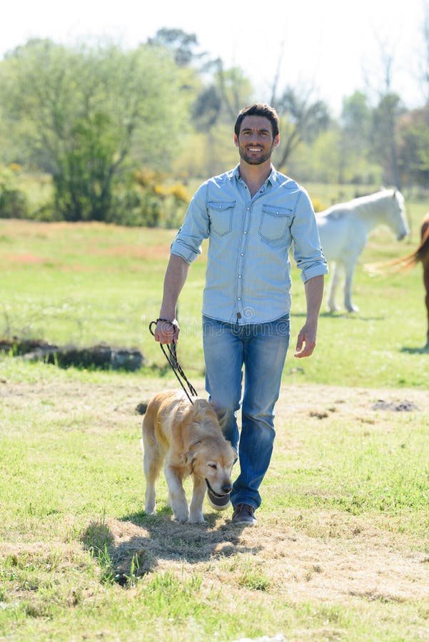 Man walking with dog stock photo. Image of lovely, calm - 160936190