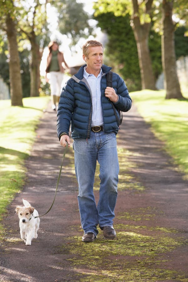 Man Walking Dog in Autumn Park Stock Photo - Image of portrait, path ...