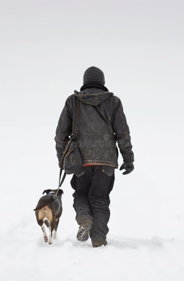 Man Walking Dog, Back View, on White Background Stock Illustration ...