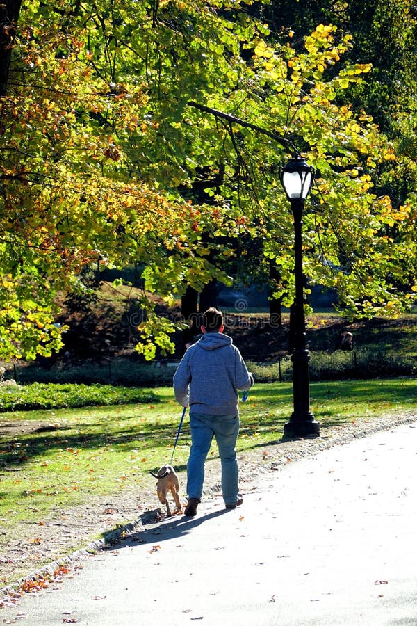 A Man Walking a Dog Down a Pathway in a Park Stock Photo - Image of ...