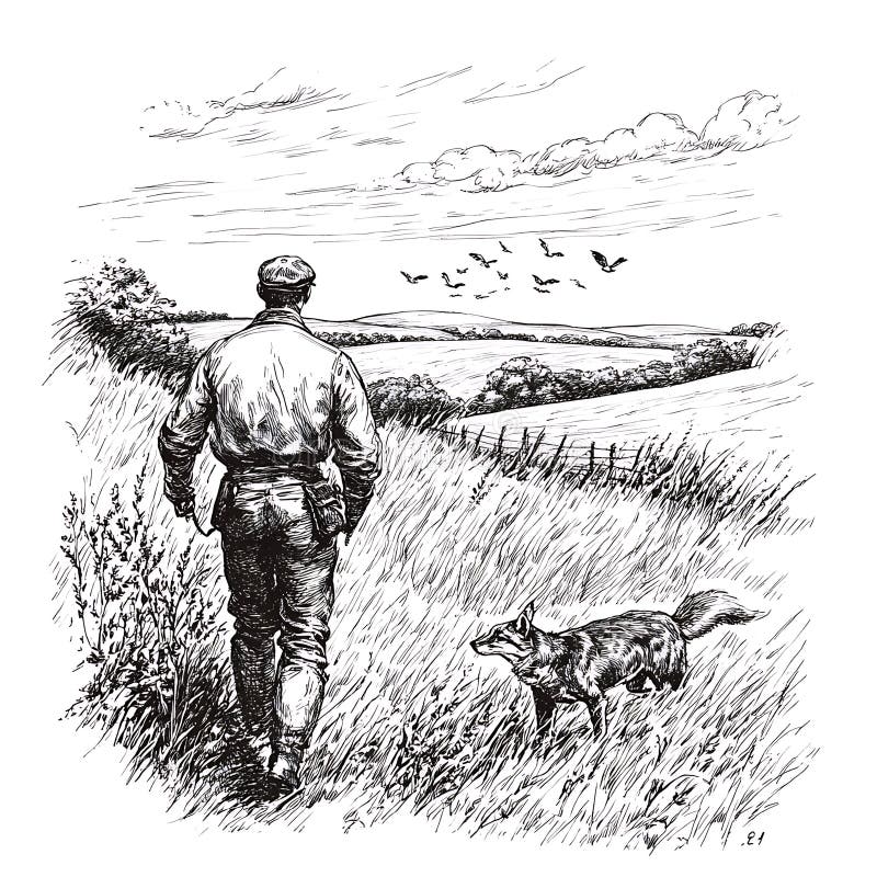 Man Walking with Dog in Field, Birds Flying Stock Illustration ...