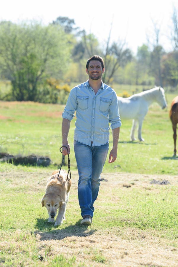 Man Walking Horse Dog Stock Photos - Free & Royalty-Free Stock Photos ...