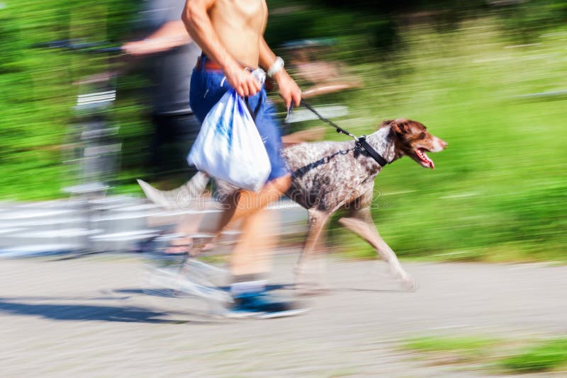 Man walking a dog stock photo. Image of footpath, pedestrian - 72621554
