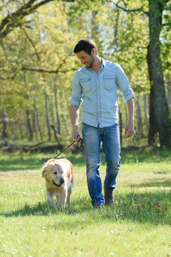 Man walking dog in park stock image. Image of sunny - 161827345