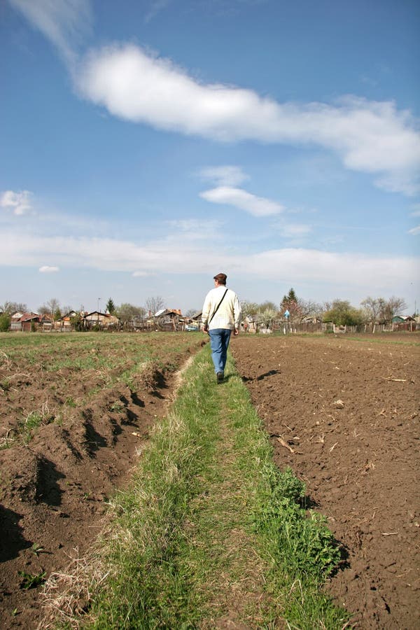 Man Walking through Farm Field Stock Photo - Image of farm, rows: 2237236